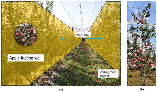 Dynamic Task Planning for Multi-Arm Apple-Harvesting Robots Using LSTM ...