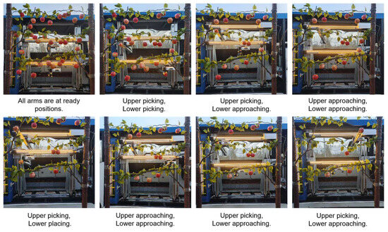Dynamic Task Planning for Multi-Arm Apple-Harvesting Robots Using LSTM ...