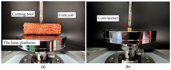 The Establishment of a High-Moisture Corn Ear Model Based on the Discrete Element Method and the ...