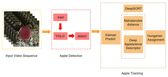 Research on an Apple Recognition and Yield Estimation Model Based on ...