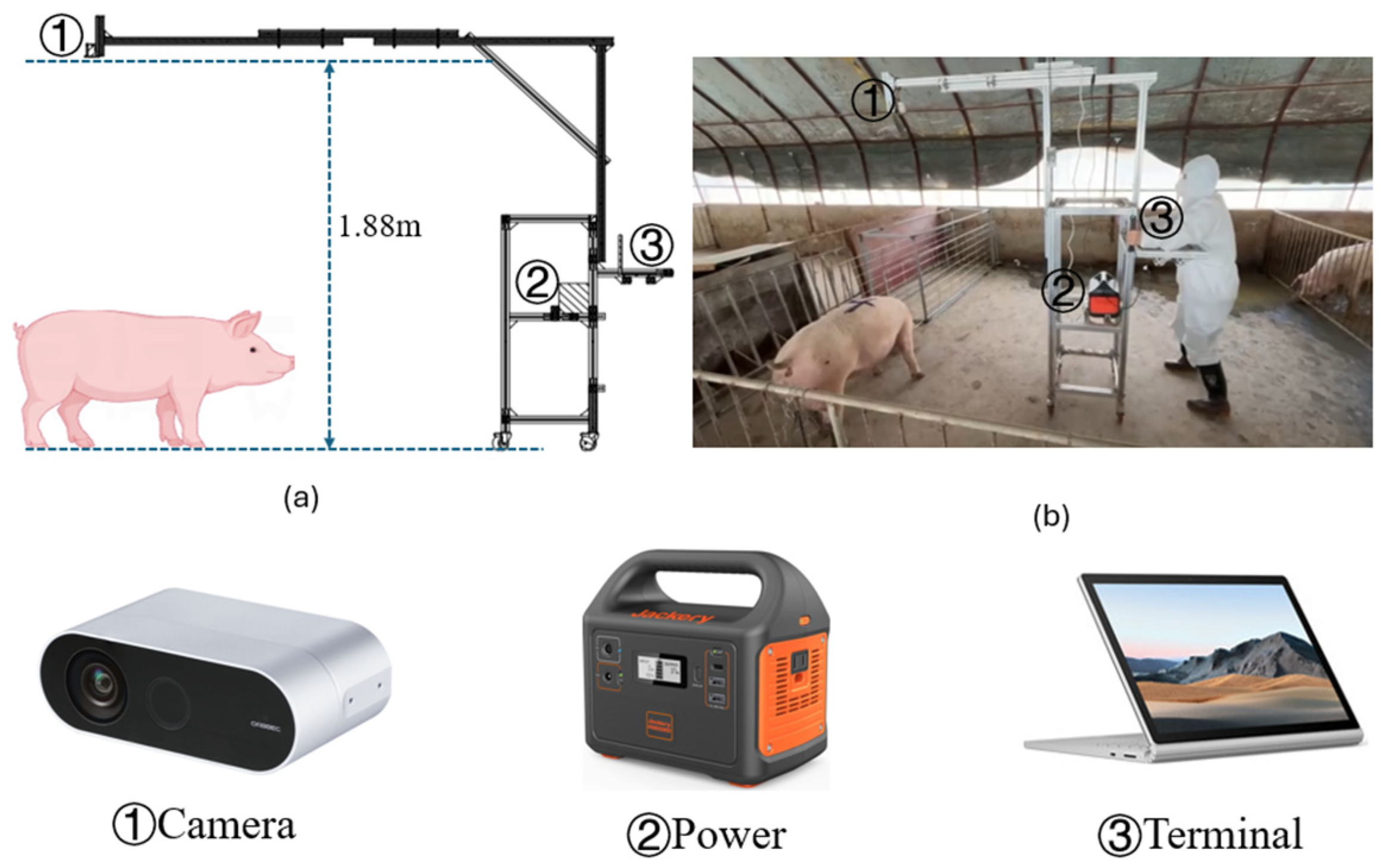 A Machine Learning-Based Method for Pig Weight Estimation and the PIGRGB-Weight Dataset