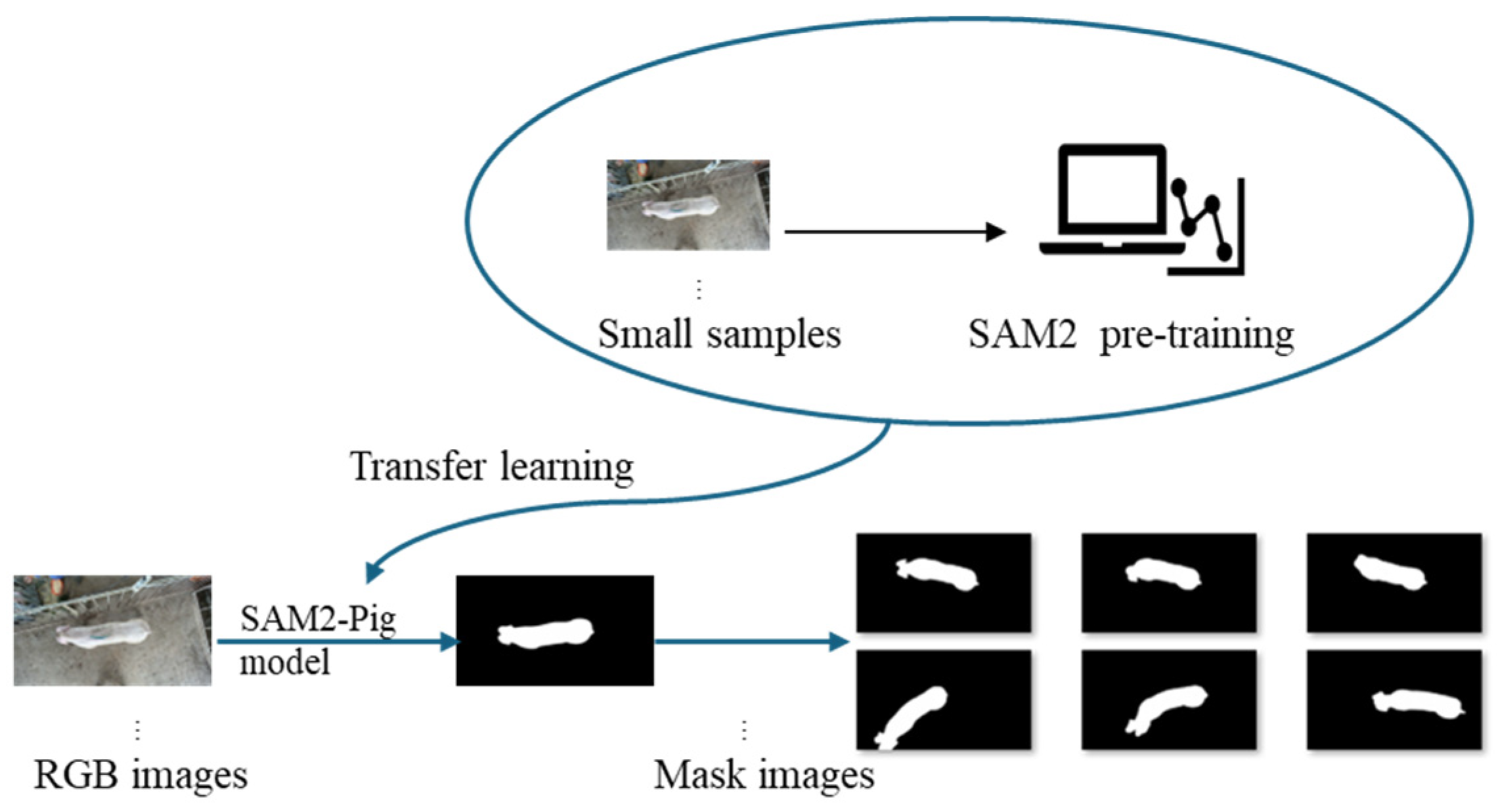 A Machine Learning-Based Method for Pig Weight Estimation and the PIGRGB-Weight Dataset
