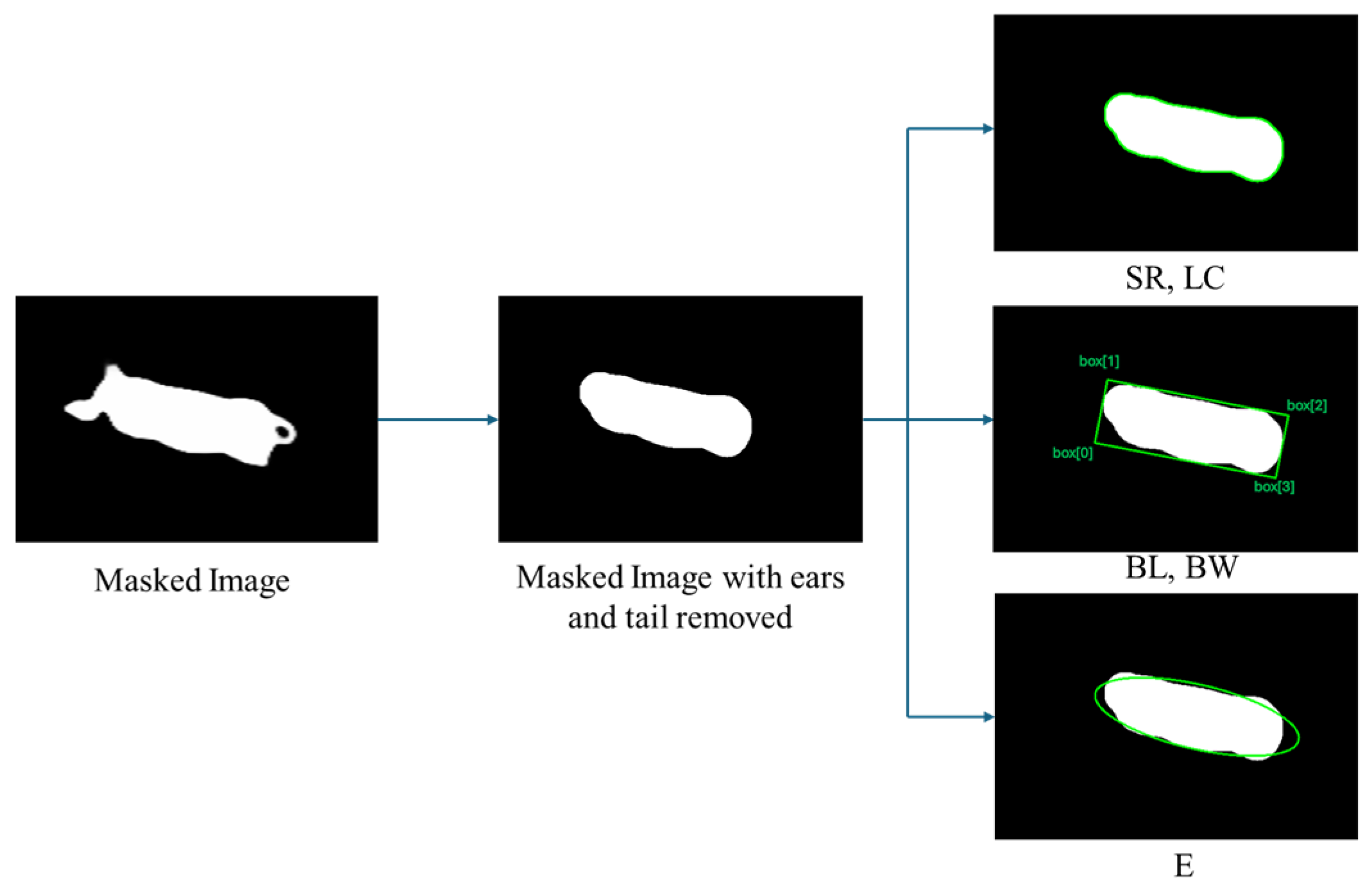 A Machine Learning-Based Method for Pig Weight Estimation and the PIGRGB-Weight Dataset