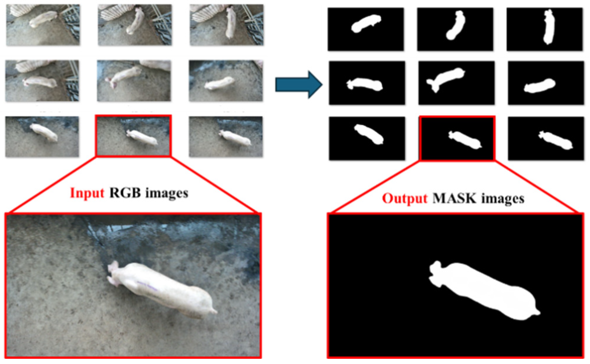 A Machine Learning-Based Method for Pig Weight Estimation and the PIGRGB-Weight Dataset