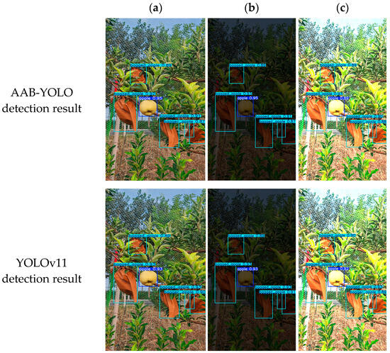 AAB-YOLO: An Improved YOLOv11 Network for Apple Detection in Natural Environments