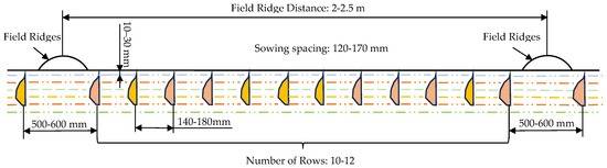 Automatic Precision Planting Mechanism of Garlic Seeder