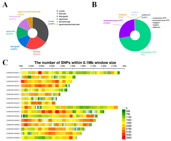 Construction of an SNP Fingerprinting Database and Population Genetic ...