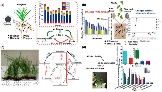 Synergistic Approaches for Sustainable Remediation of Organic ...