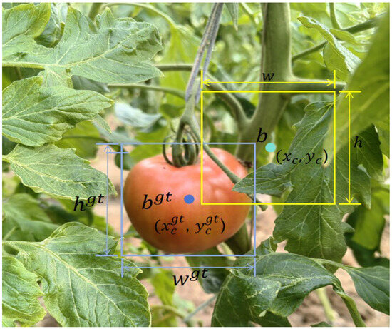 An Improved YOLOv8 Model for Detecting Four Stages of Tomato Ripening and Its Application ...