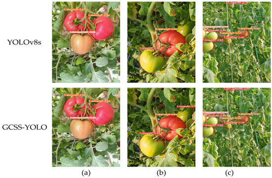 An Improved YOLOv8 Model for Detecting Four Stages of Tomato Ripening and Its Application ...