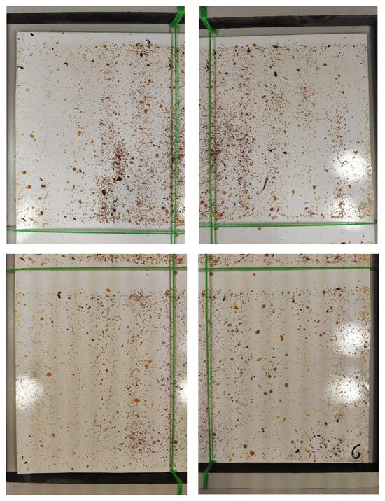 An AI-Based Open-Source Software for Varroa Mite Fall Analysis in Honeybee Colonies