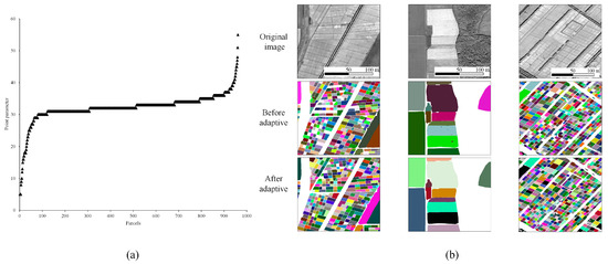 Accurate Parcel Extraction Combined with Multi-Resolution Remote Sensing Images Based on SAM