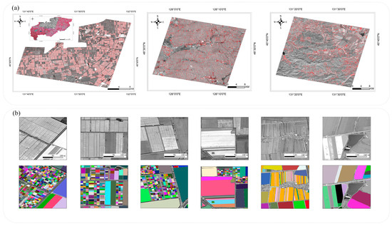Accurate Parcel Extraction Combined with Multi-Resolution Remote Sensing Images Based on SAM