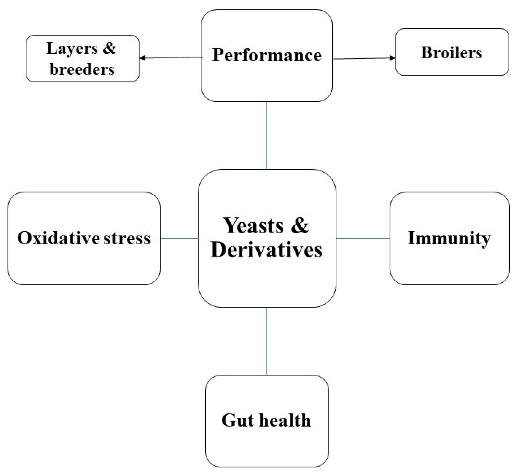 Yeasts and Their Derivatives as Functional Feed Additives in Poultry Nutrition