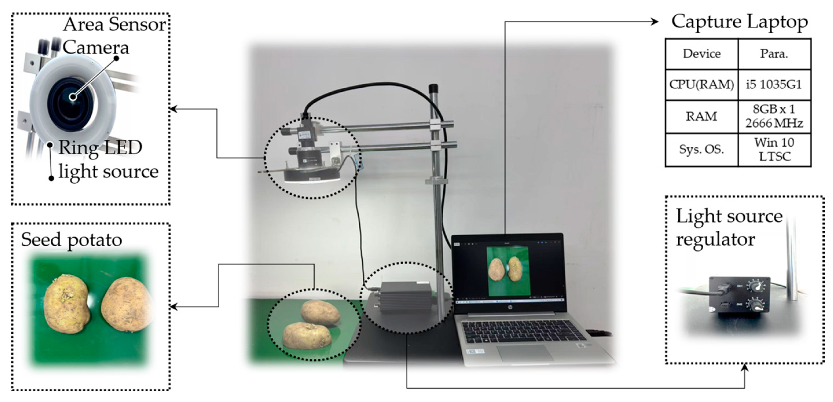 Detection of Seed Potato Sprouts Based on Improved YOLOv8 Algorithm