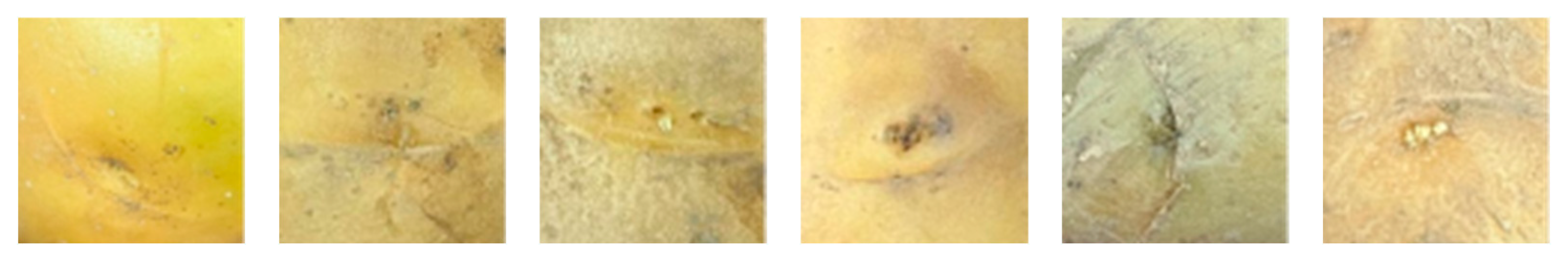 Detection of Seed Potato Sprouts Based on Improved YOLOv8 Algorithm