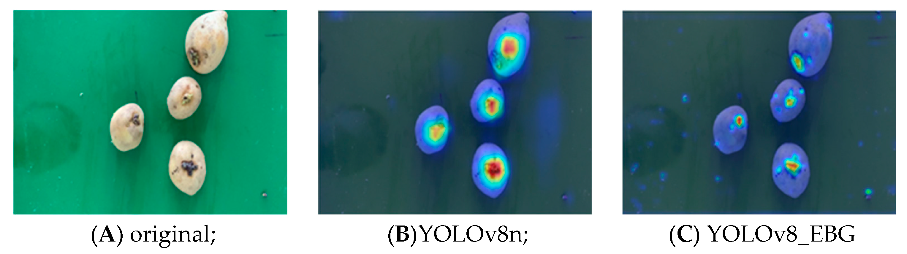 Detection of Seed Potato Sprouts Based on Improved YOLOv8 Algorithm