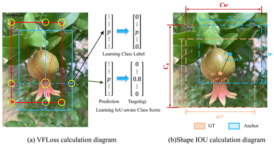 YOLO-MSNet: Real-Time Detection Algorithm for Pomegranate Fruit Improved by YOLOv11n