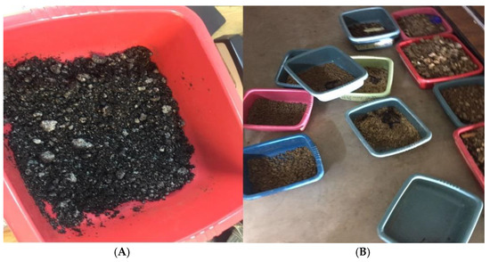 Influence of Sludge and Feed Mixtures on Metal Retention, Pathogen ...