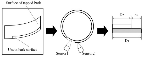 Low-Injury Rubber Tapping Robots: A Novel PSO-PID Approach for Adaptive ...