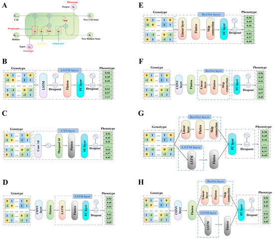 Hybrid Deep Learning Approaches for Improved Genomic Prediction in Crop ...
