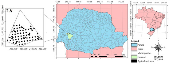 Spatial–Temporal Variability of Soybean Yield Using Separable Covariance Structure