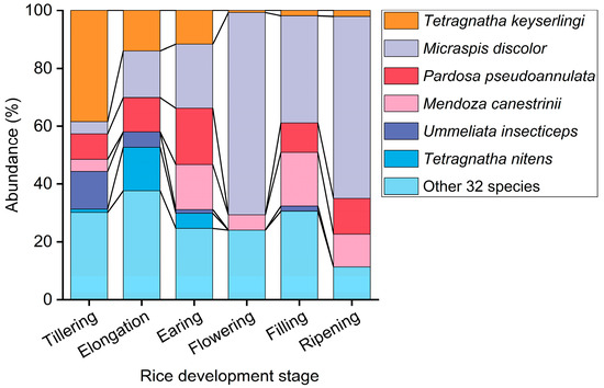 Spider Web DNA Metabarcoding Provides Improved Insight into the Prey ...