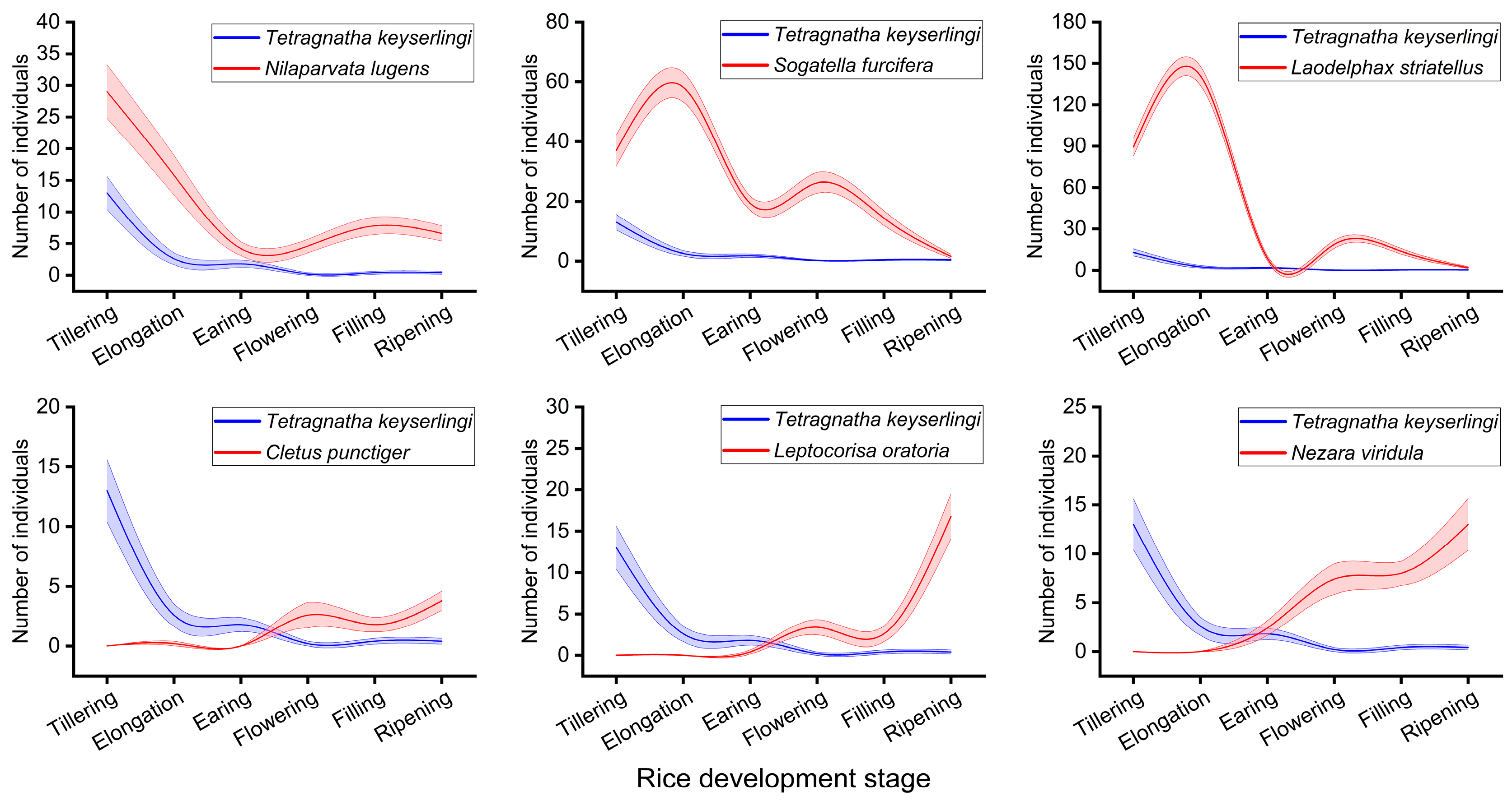 Spider Web DNA Metabarcoding Provides Improved Insight into the Prey ...