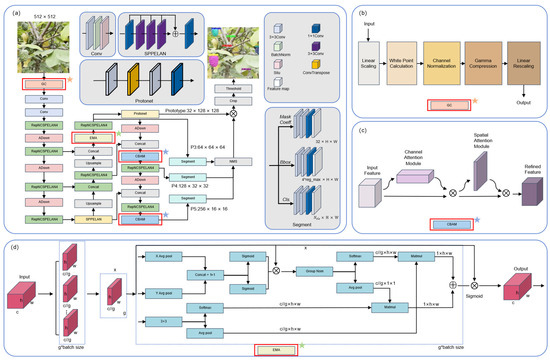 Instance Segmentation of Sugar Apple (Annona squamosa) in Natural Orchard Scenes Using an ...