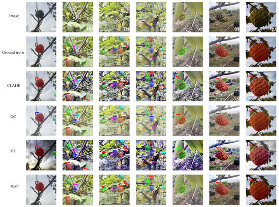 Instance Segmentation of Sugar Apple (Annona squamosa) in Natural Orchard Scenes Using an ...