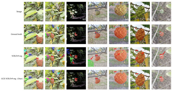 Instance Segmentation of Sugar Apple (Annona squamosa) in Natural ...