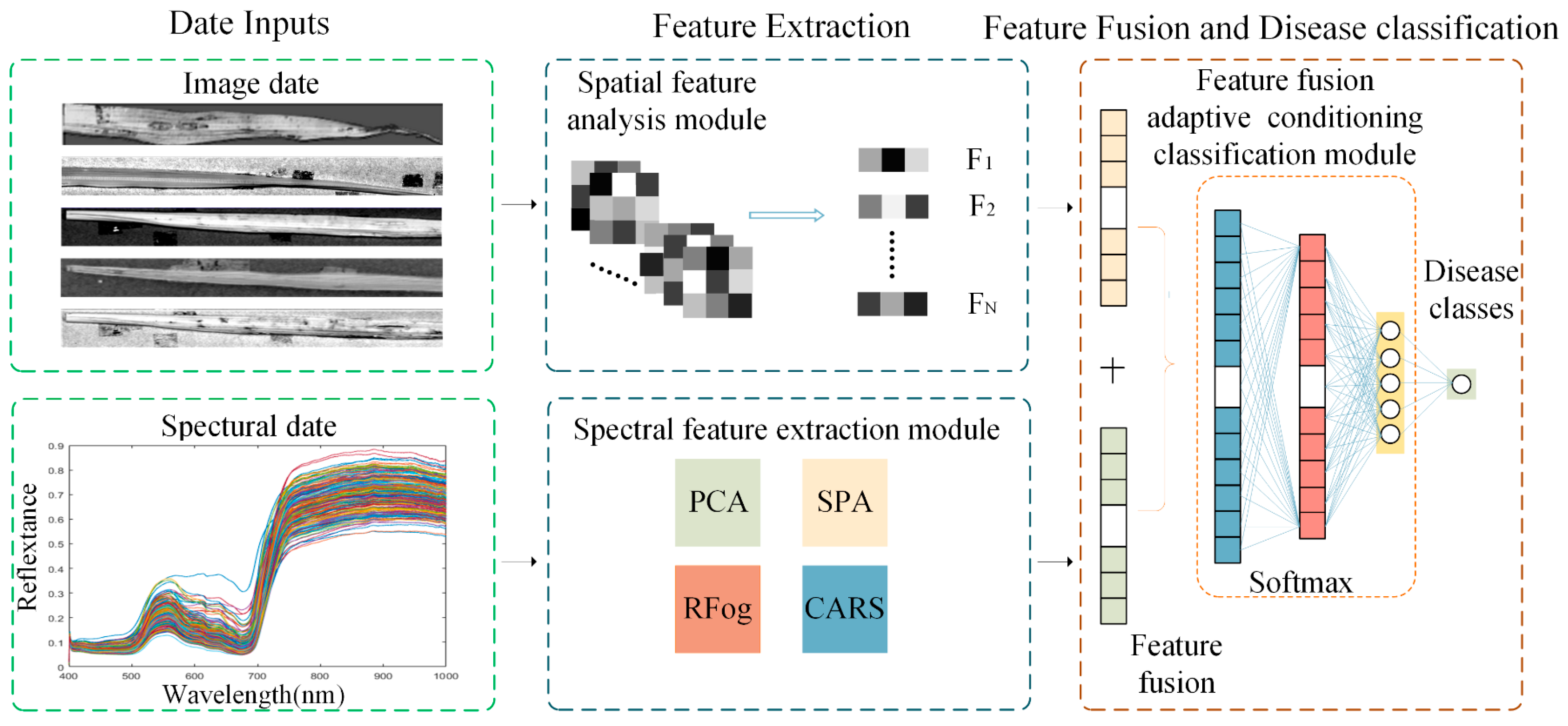 Hyperspectral Imaging Combined with a Dual-Channel Feature Fusion Model for Hierarchical ...