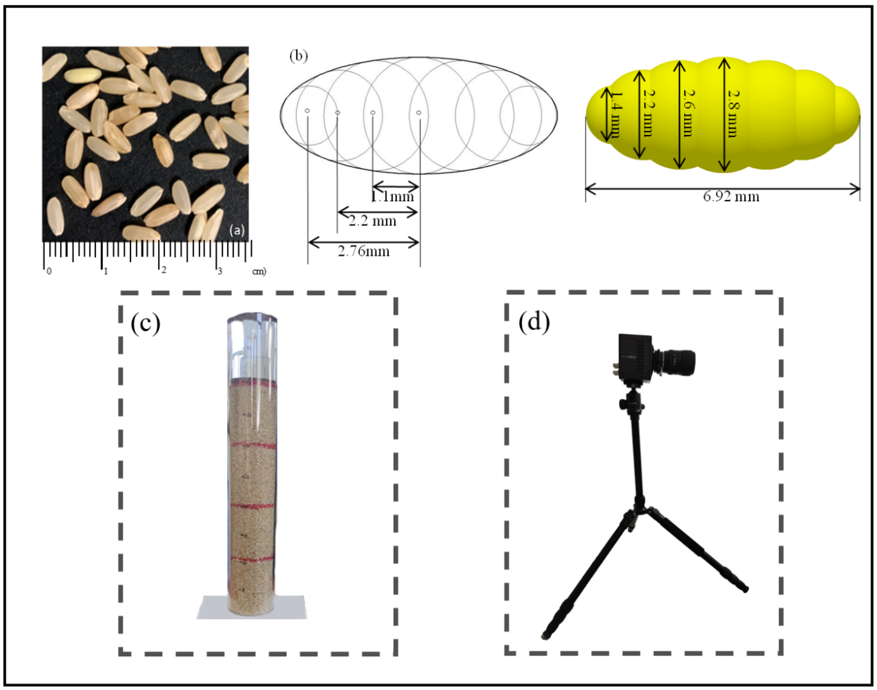 Discharge Dynamics Responses in Forced Granular Flow of Rice Particle Beds