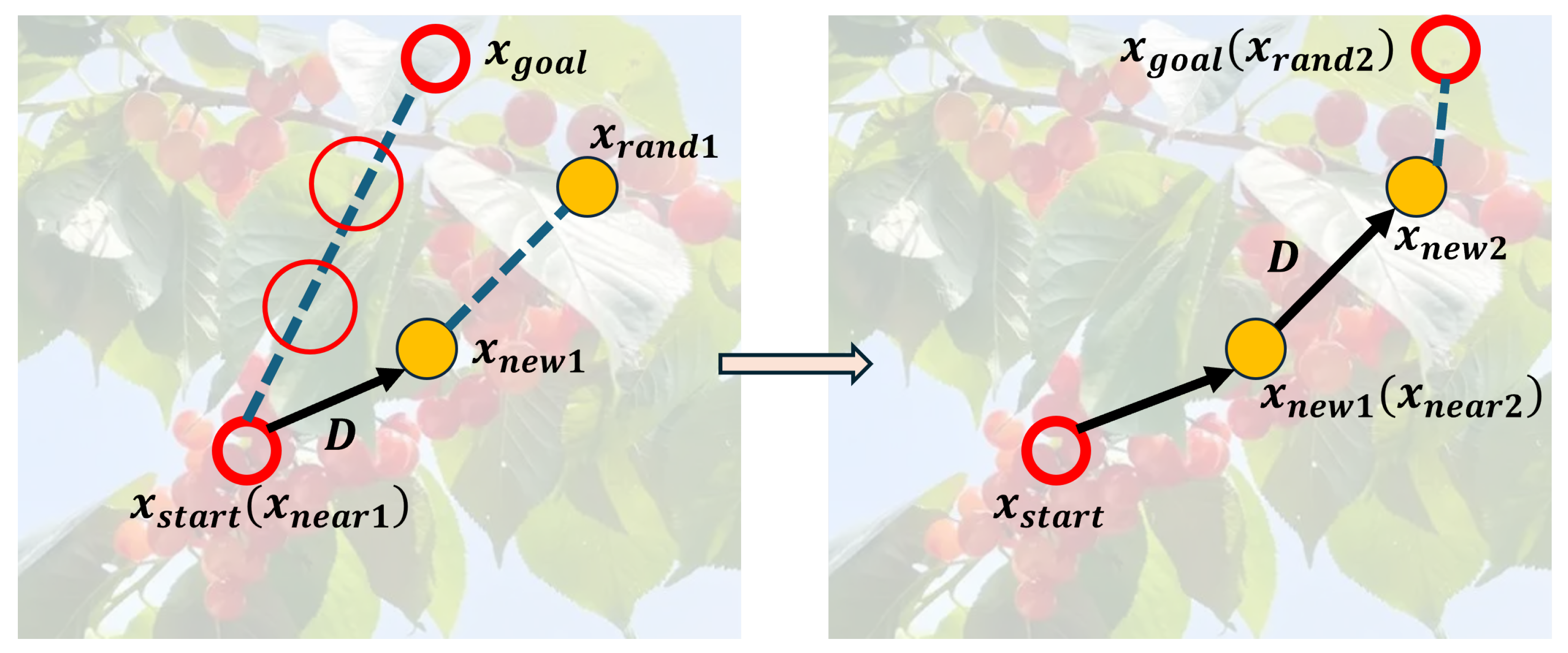 Multi-Strategy Fusion RRT-Based Algorithm for Optimizing Path Planning in Continuous Cherry Picking