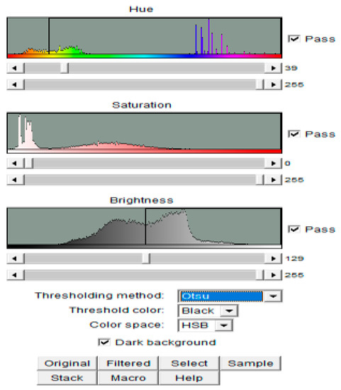 AgriEngineering | Free Full-Text | An Algorithm for Severity Estimation ...
