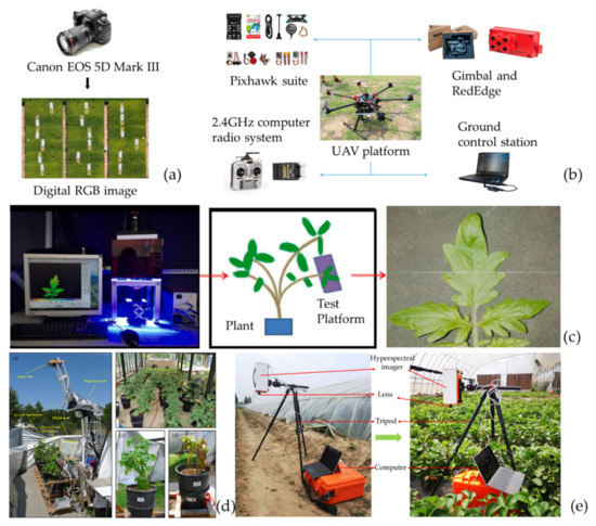 Deep Learning Application in Plant Stress Imaging: A Review