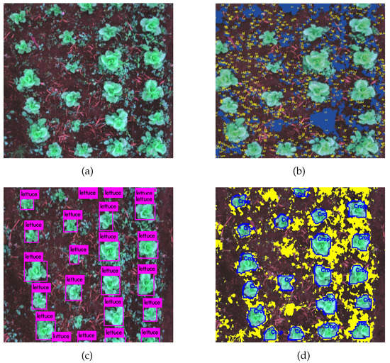 A Deep Learning Approach for Weed Detection in Lettuce Crops Using ...