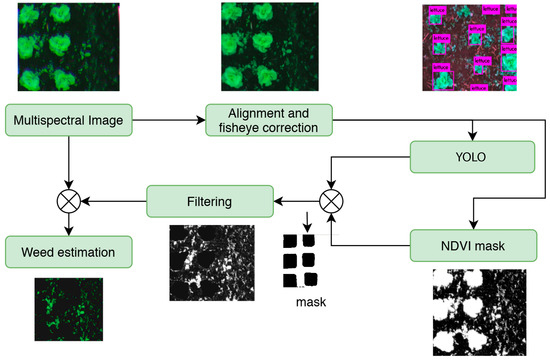 A Deep Learning Approach for Weed Detection in Lettuce Crops Using ...