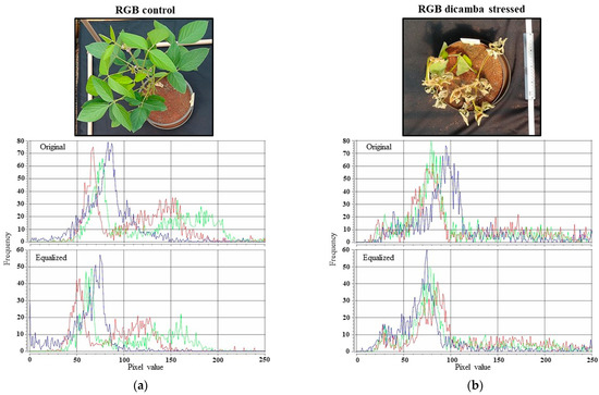 Triangular Greenness Index to Evaluate the Effects of Dicamba in Soybean