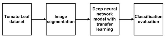 A VGG-19 Model with Transfer Learning and Image Segmentation for ...