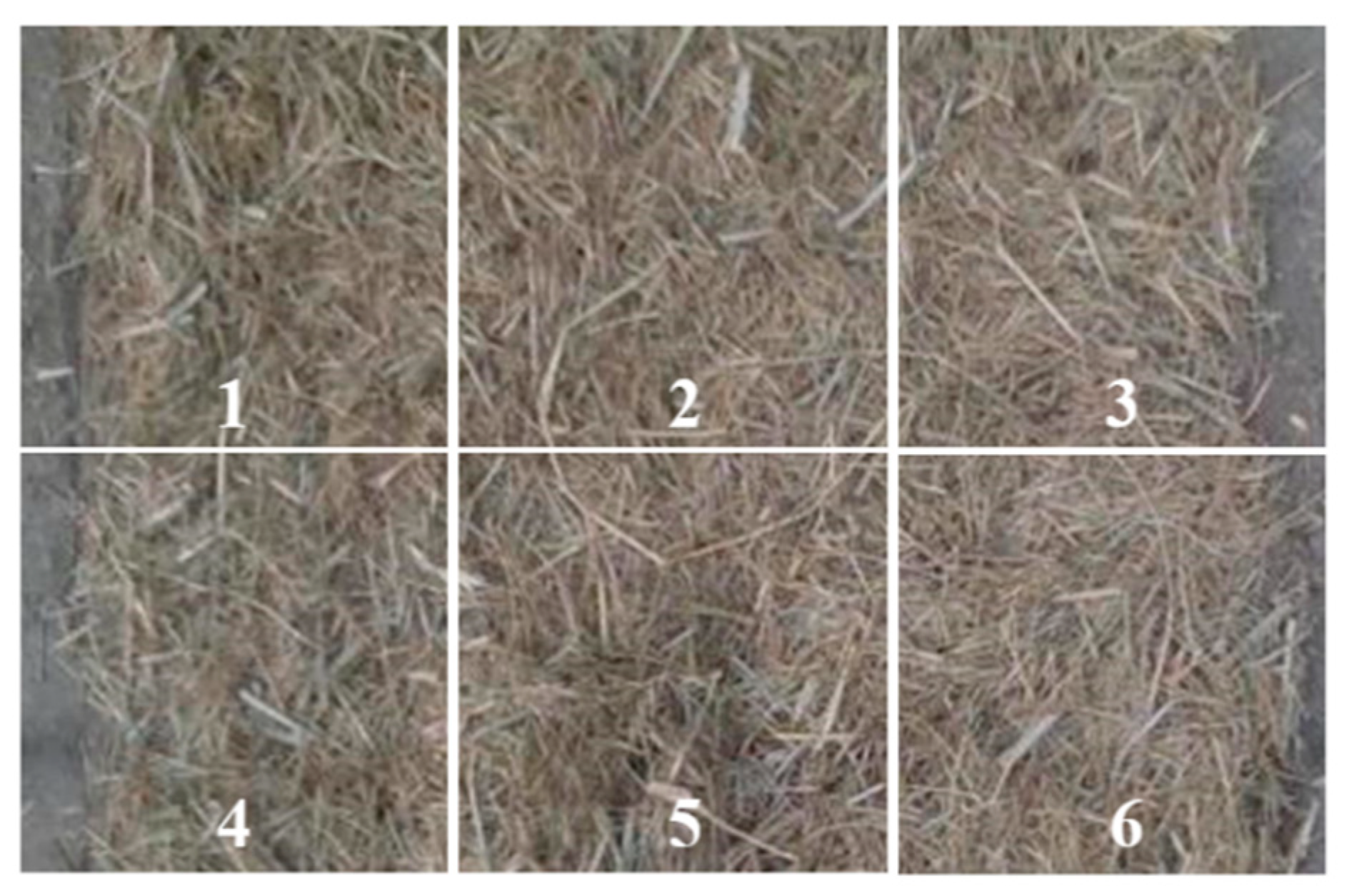 Detection Method of Straw Mulching Unevenness with RGB-D Sensors