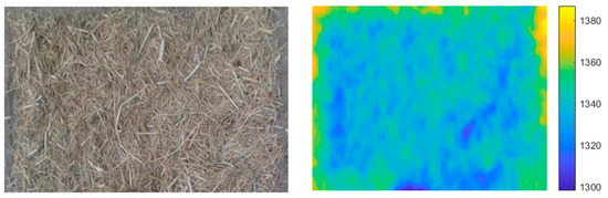 Detection Method of Straw Mulching Unevenness with RGB-D Sensors