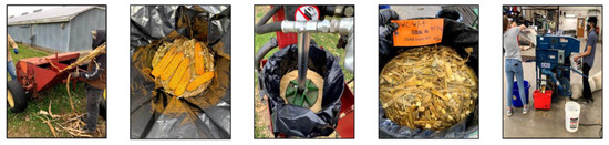 Anaerobic Storage Characteristics of Whole-Ear Corn and Stover