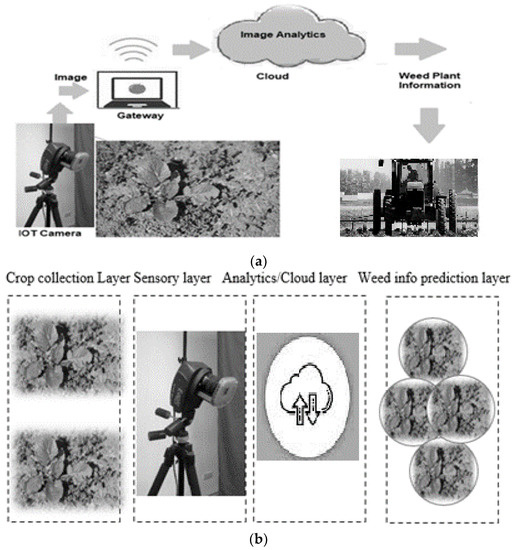 IOT-Enabled Model for Weed Seedling Classification: An Application for Smart Agriculture