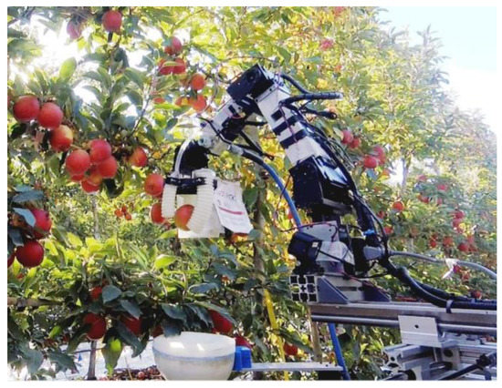AgriEngineering | Free Full-Text | Agricultural Harvesting Robot Concept Design and System ...