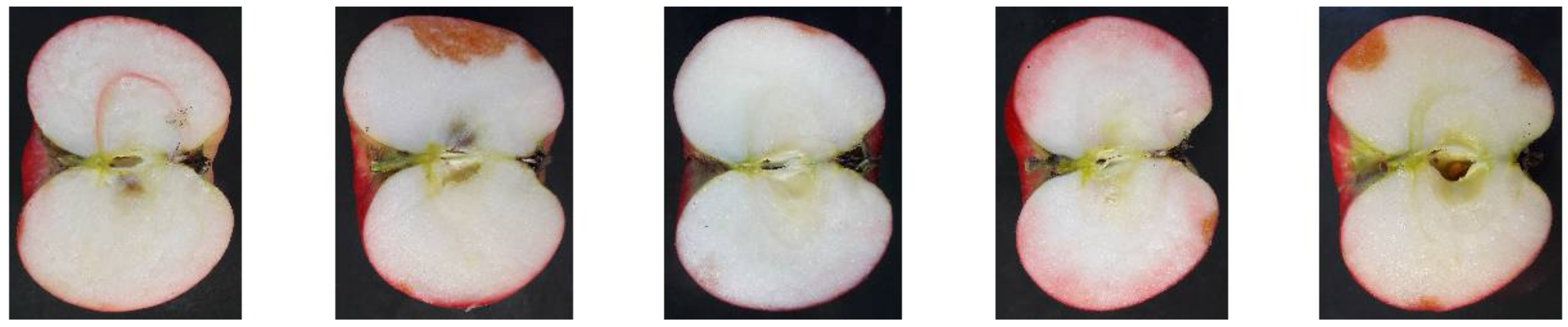 A Case Study toward Apple Cultivar Classification Using Deep Learning