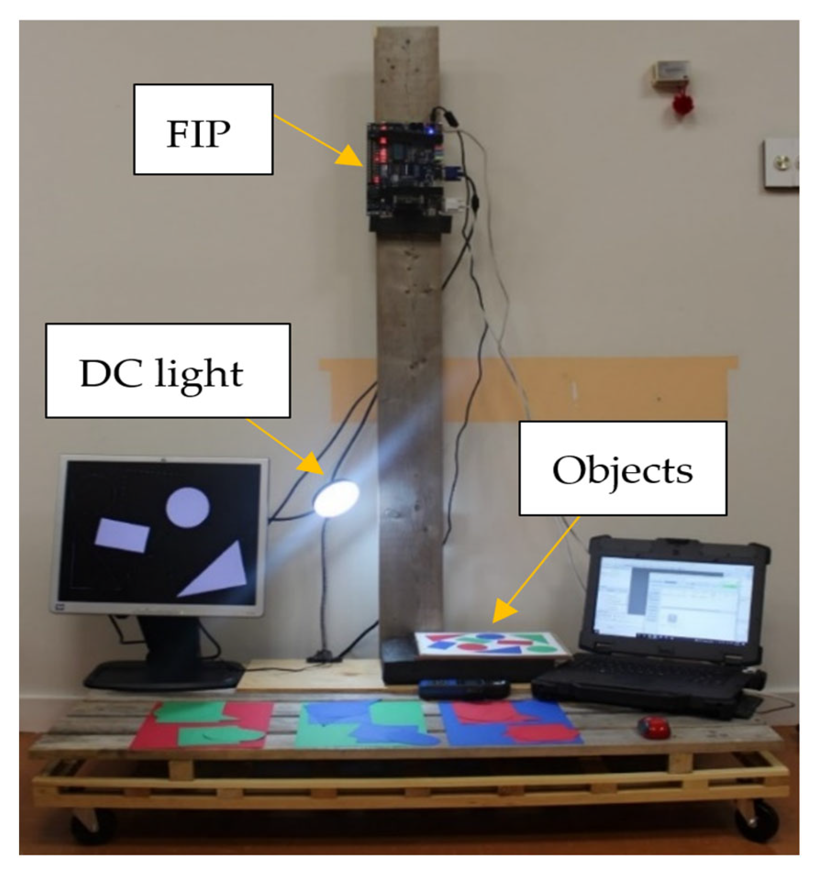 Development and Assessment of a Field-Programmable Gate Array (FPGA)-Based Image Processing (FIP ...