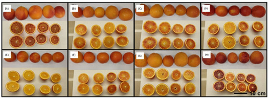 AgriEngineering | Free Full-Text | Comparative Analysis of Primary and ...