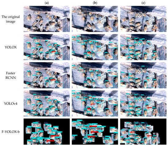 Detection of Varroa destructor Infestation of Honeybees Based on Segmentation and Object ...
