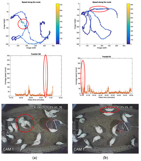 Chicken Tracking and Individual Bird Activity Monitoring Using the BoT ...